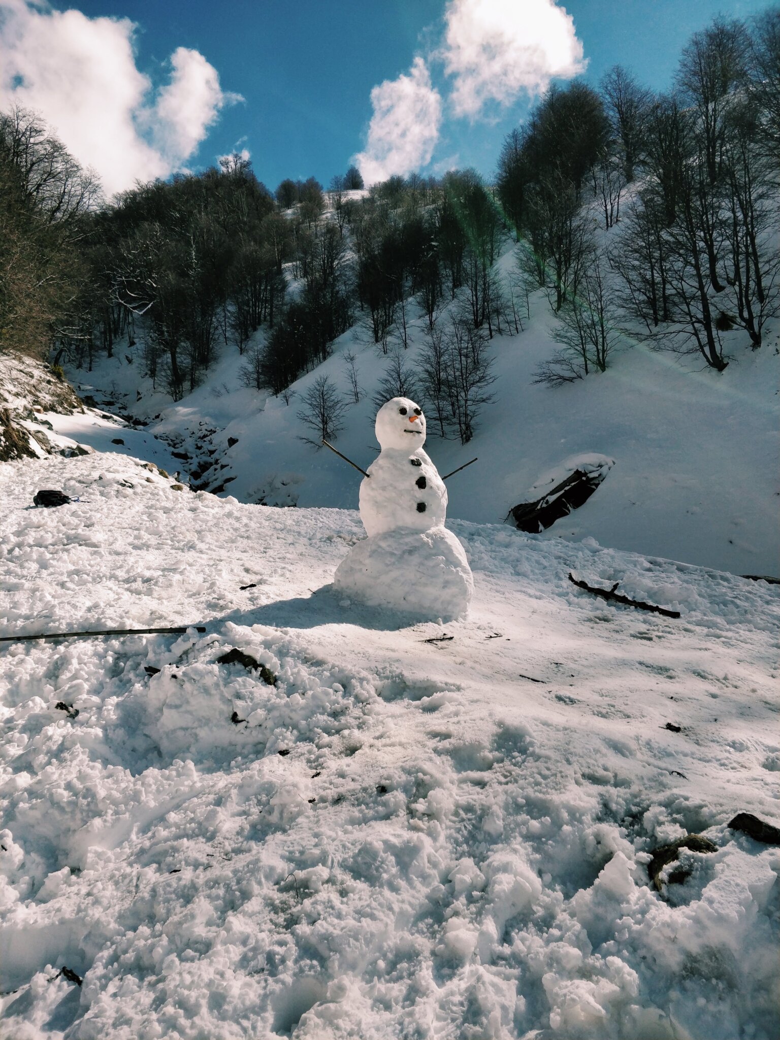 50 Snowman Puns Names Jokes For Instagram Captions 50 Snowman Puns Names Jokes For Instagram Captions