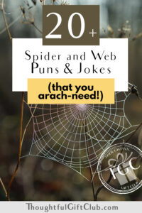 20+ Spider & Web Puns/Jokes for Instagram Captions That You Arach-Need