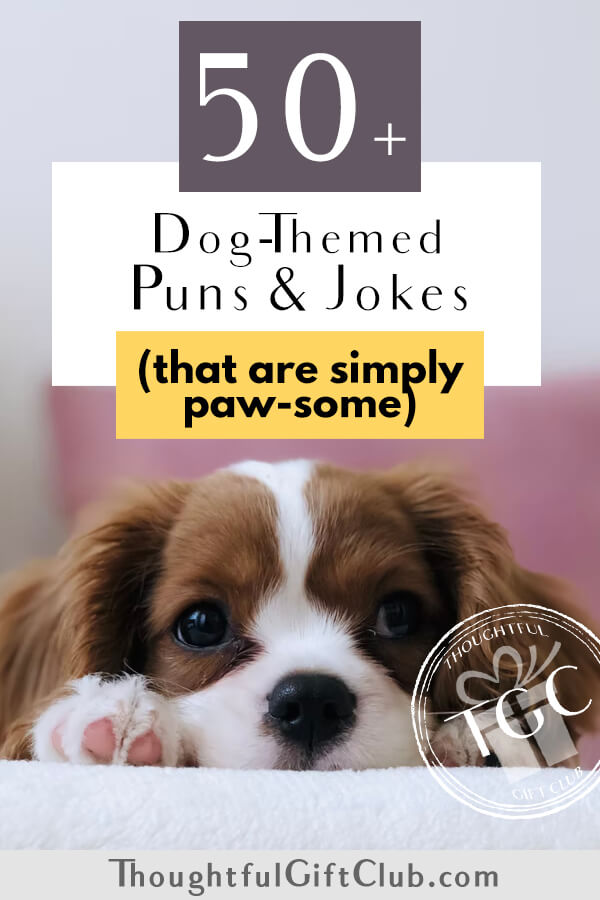 50 Dog Puns Jokes For Instagram Captions That Are Simply Pawsome