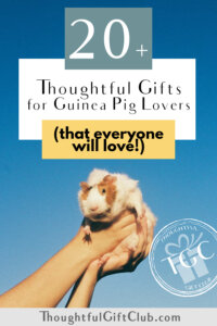 20+ Thoughtful Gifts for Guinea Pig Lovers (That Are S'Pet-acular!)